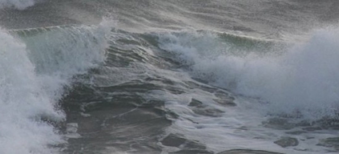 Writings – Robert Eric Shoemaker